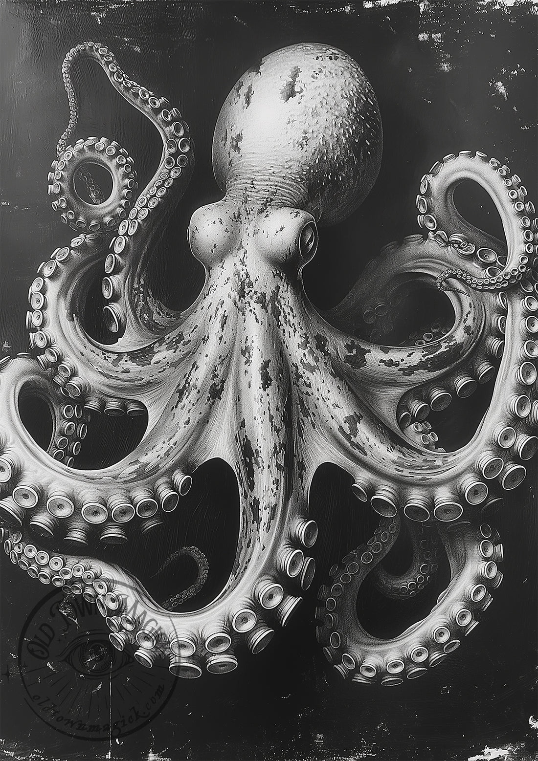 Black and White Octopus Wall Art Print – Old Town Magick