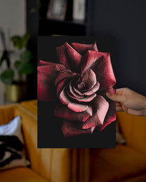 Gothic Rose Occult Esoteric Wall Art Print – Old Town Magick