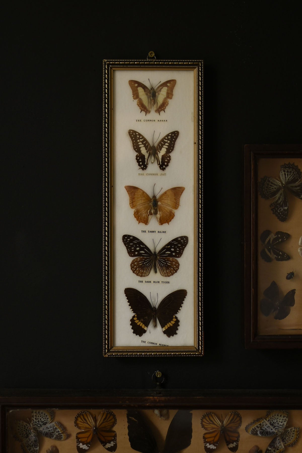 Occult, Esoteric & Mystical Home Decor | Old Town Magick, Edinburgh