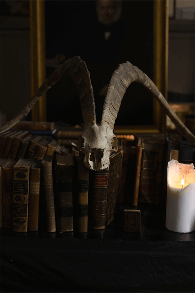 Occult, Esoteric & Mystical Home Decor | Old Town Magick, Edinburgh
